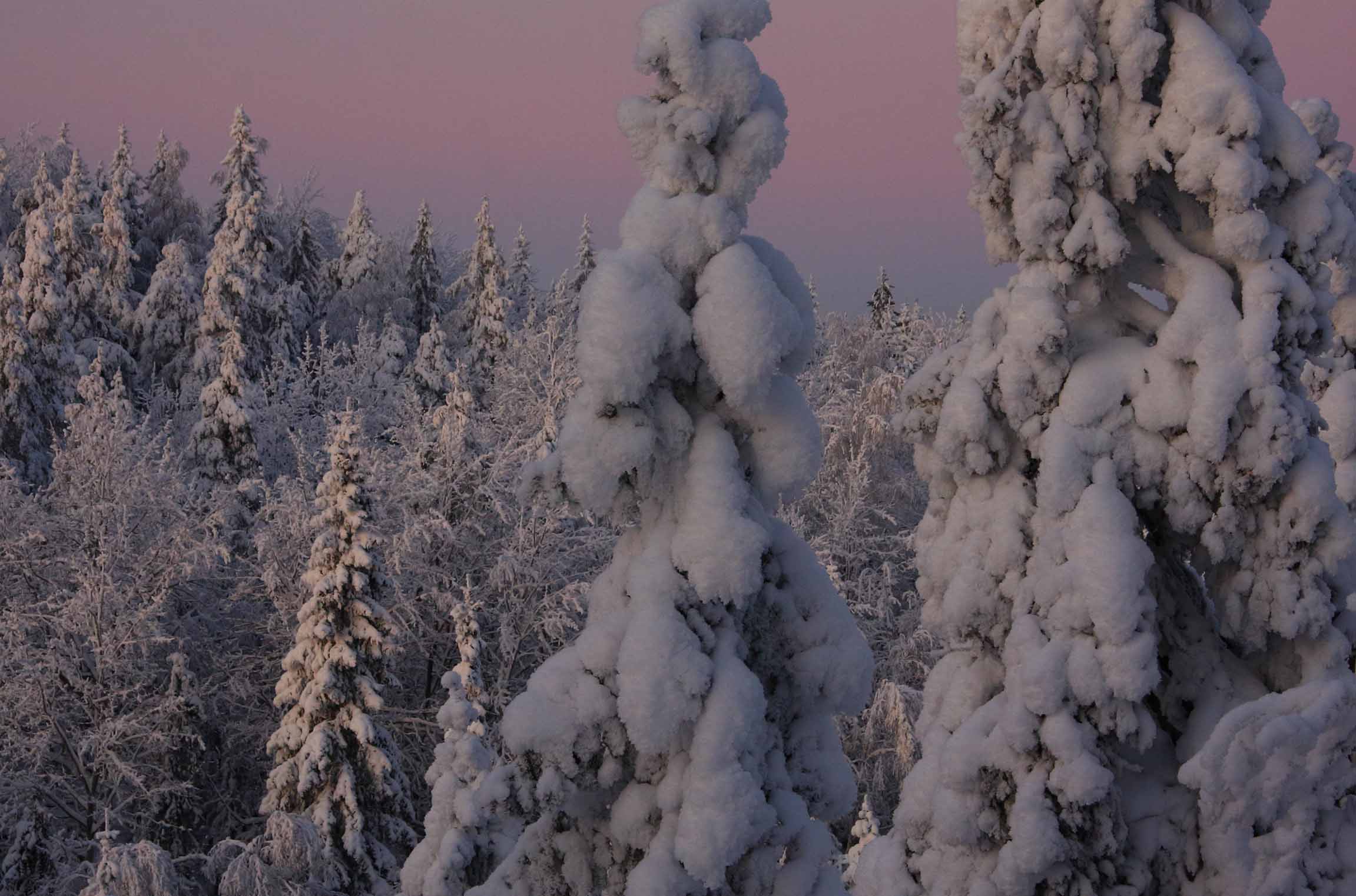 Millainen oli talvi ennen – muistikuvia vuosikymmenen takaa - Urjalan ...